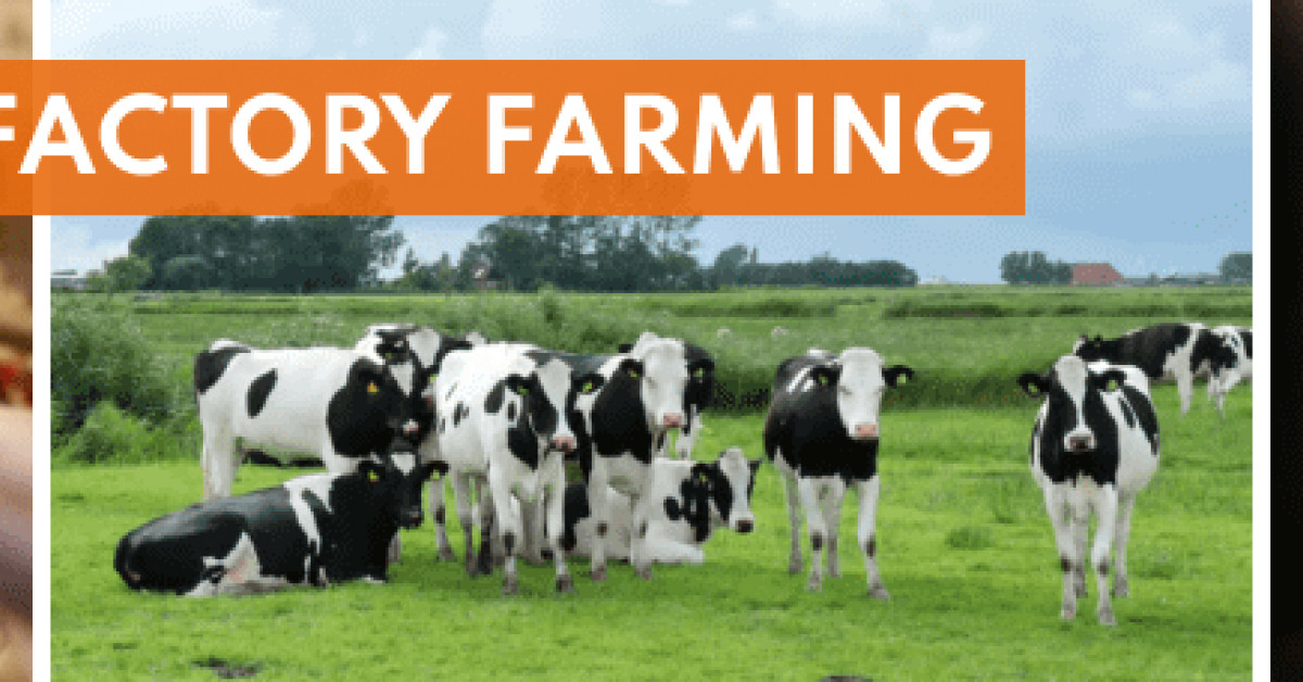 Help WAP reduce unethical farming practices